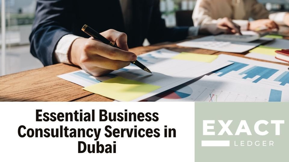 Business Consultancy Services in Dubai | Building a Strong Financial ...